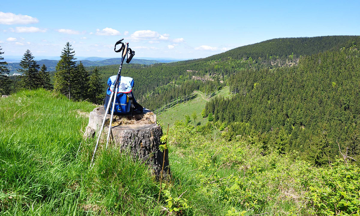 Impressum - Ferienhäuser Förster in Goldlauter-Heidersbach in Thüringen